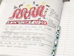 What We Do - BSCS Science Learning